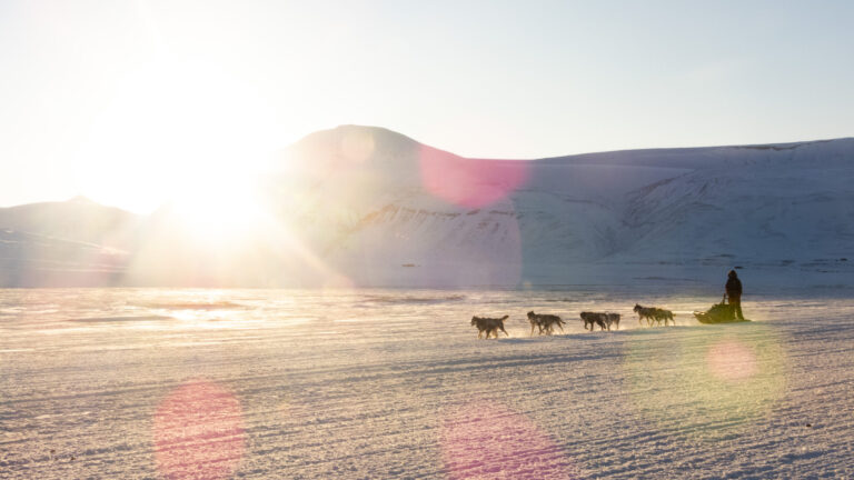 Best time to travel to Svalbard: The Seasons Explained | Magnetic North ...