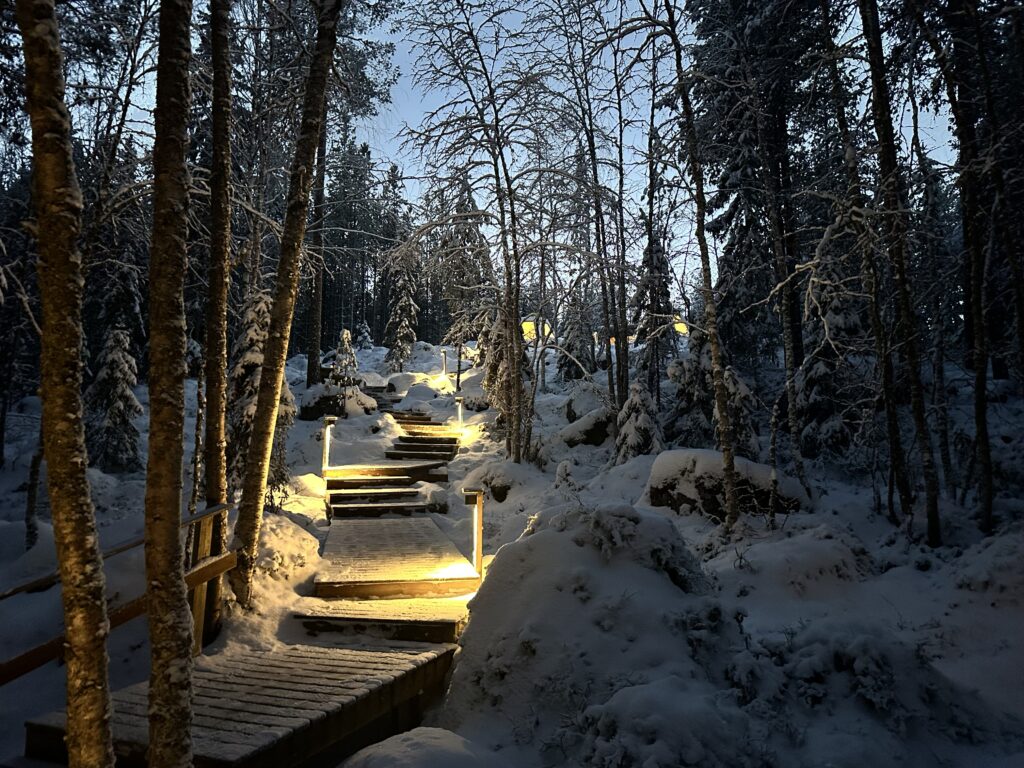 Sleeping under the Northern Lights: A Glass Cone in Swedish Lapland ...
