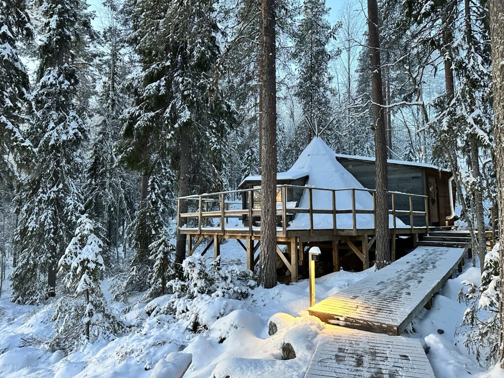 Sleeping under the Northern Lights: A Glass Cone in Swedish Lapland ...