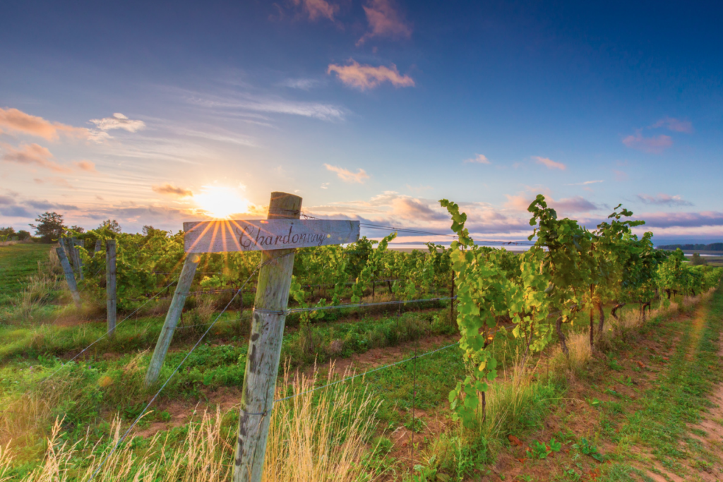 Nova Scotia Travel Guide: Small Province - Big Journeys | Magnetic ...