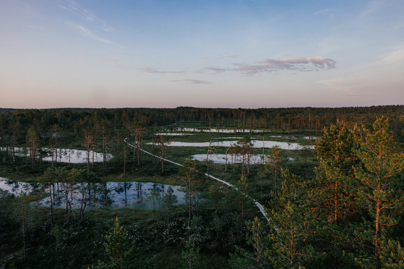 Active Summer in the Baltics: Cycling, Hiking & Wild Swimming ...